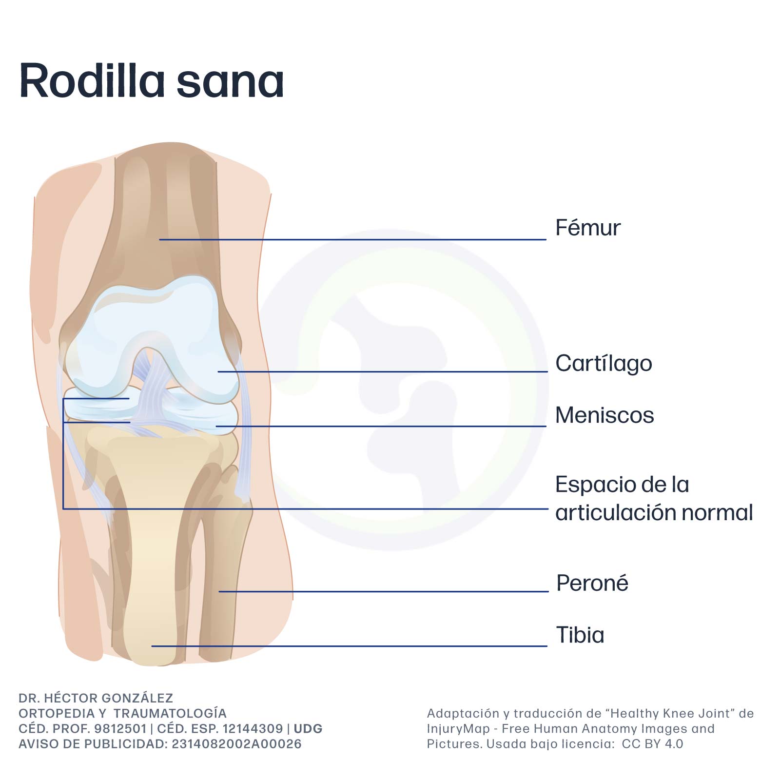 Todo sobre el dolor de rodilla - Dr. Héctor González